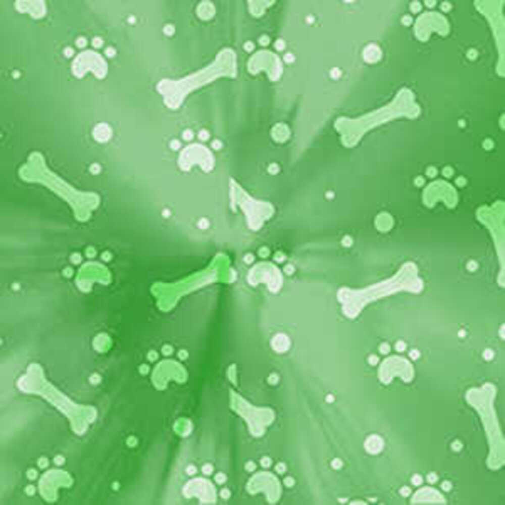 Customized Socks – PetParty